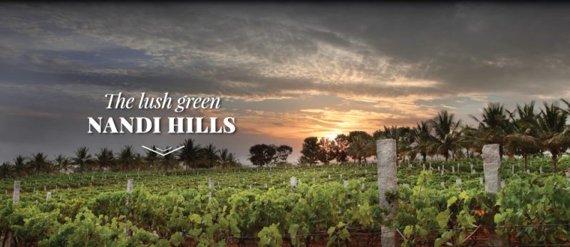 Wineyard Tour in Bangalore | Wineries Near Me | Grover Zampa